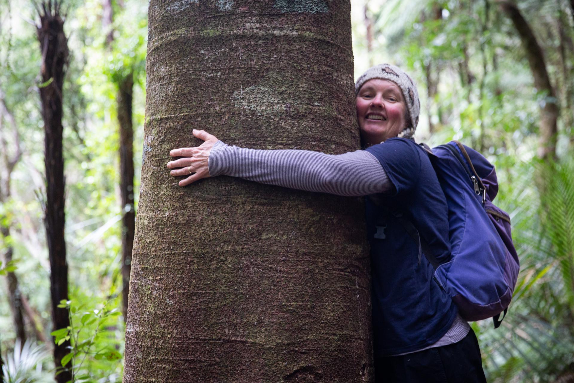 Coromandel Watchdog of Hauraki
