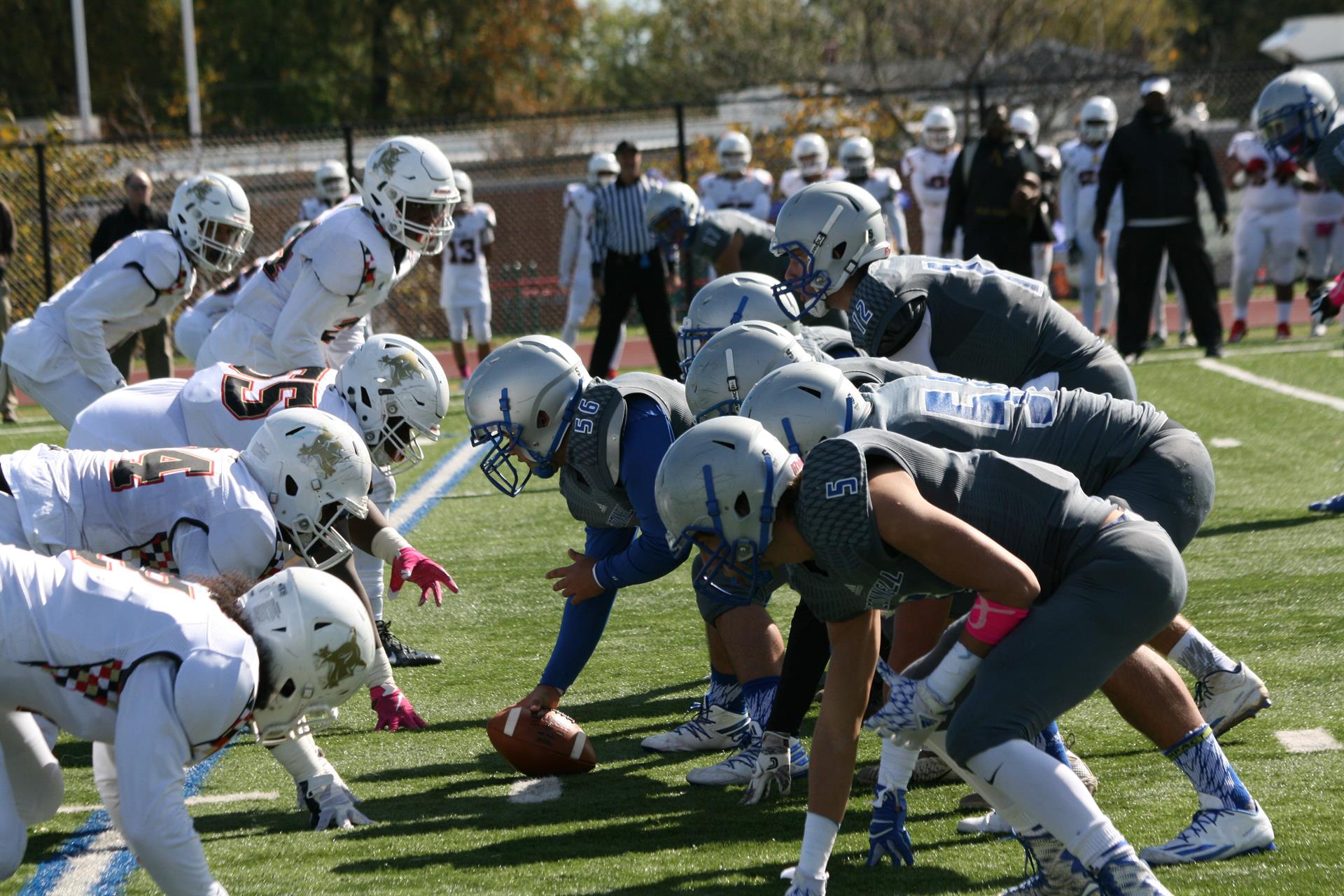 Athletics Newsletter